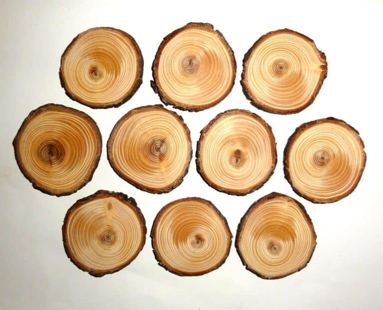 How To Cut Wood Slices With A Chainsaw Kyle s Garage how-to-cut-wood-slices-with-a-chainsaw-kyle-s-garage