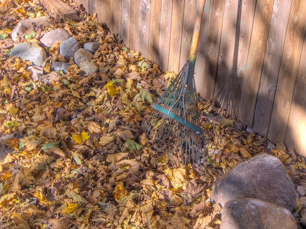 How to rake leaves the right way - Kyle's Garage